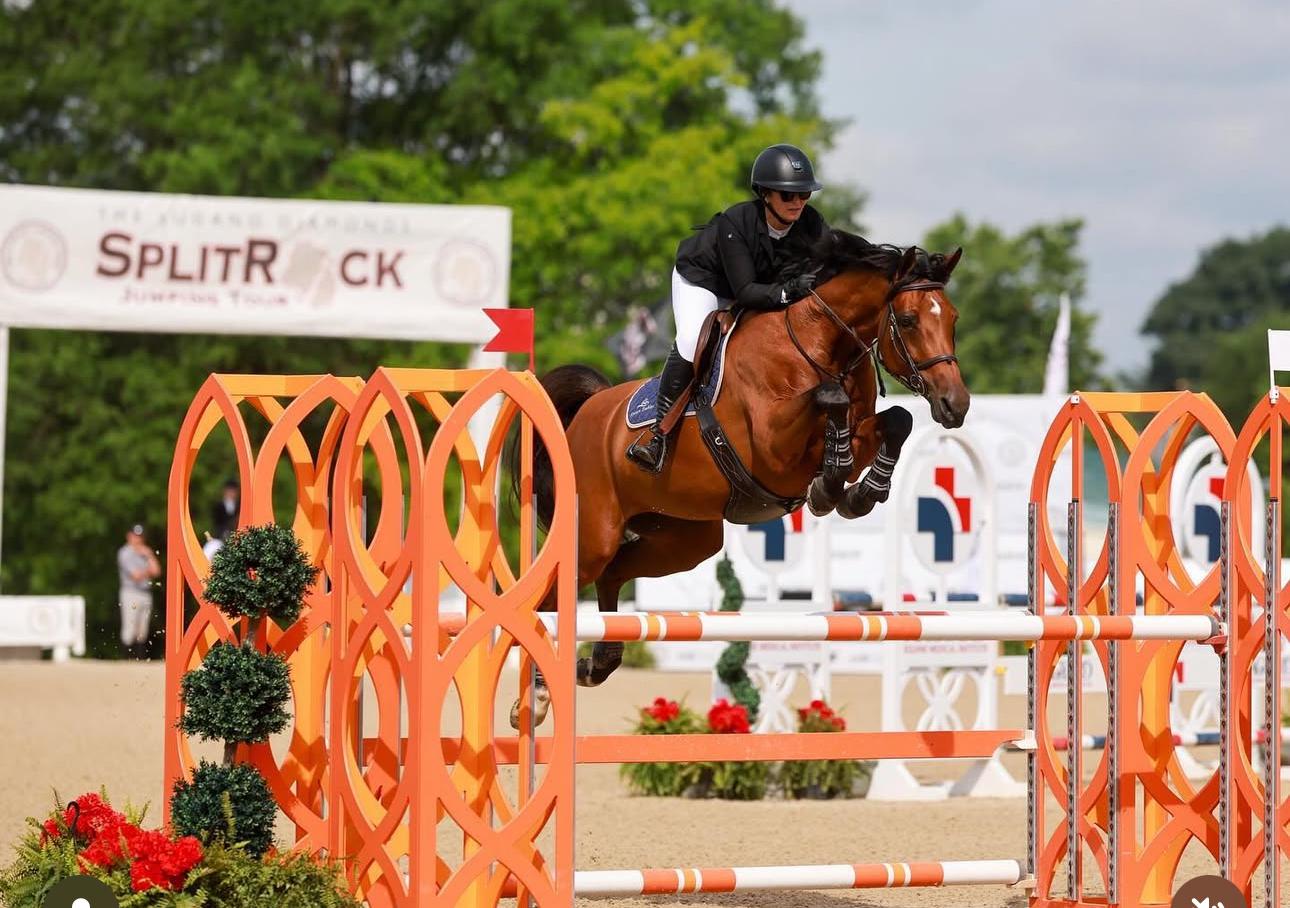 Casaltina S Hanoverian Jumper