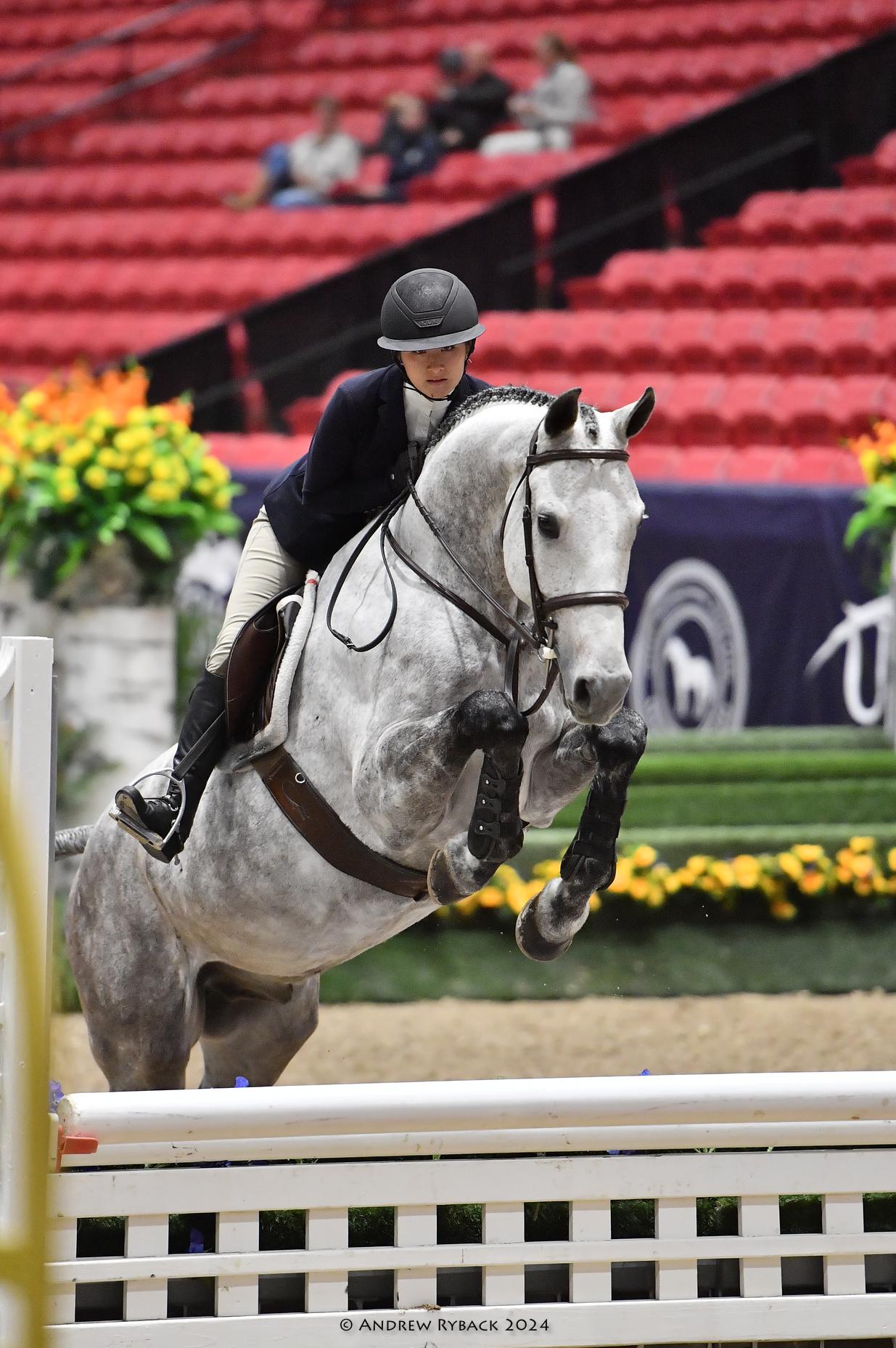 Cooblix Holsteiner Equitation