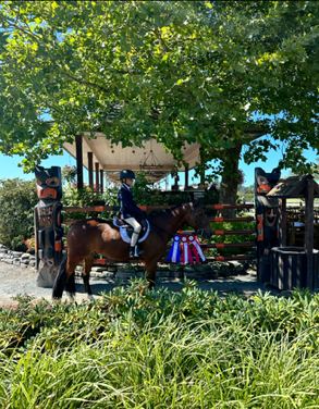 Beaverwoods Round Robin Welsh Cross Hunter