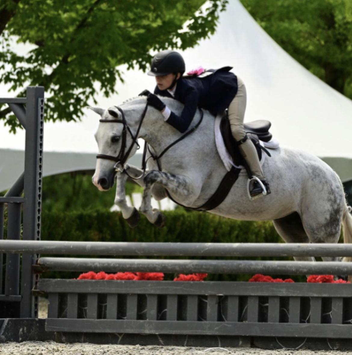 Sugarbrook Unveiled Welsh Cross