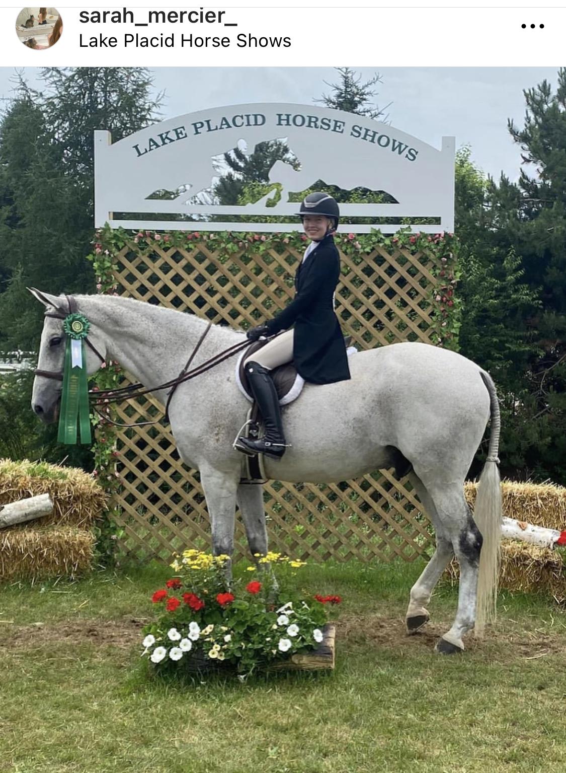AKROBART MHS Hanoverian Hunter