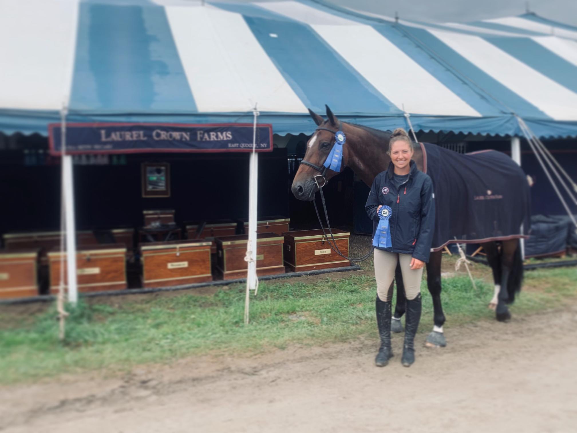 Vivaldi Warmblood Hunter