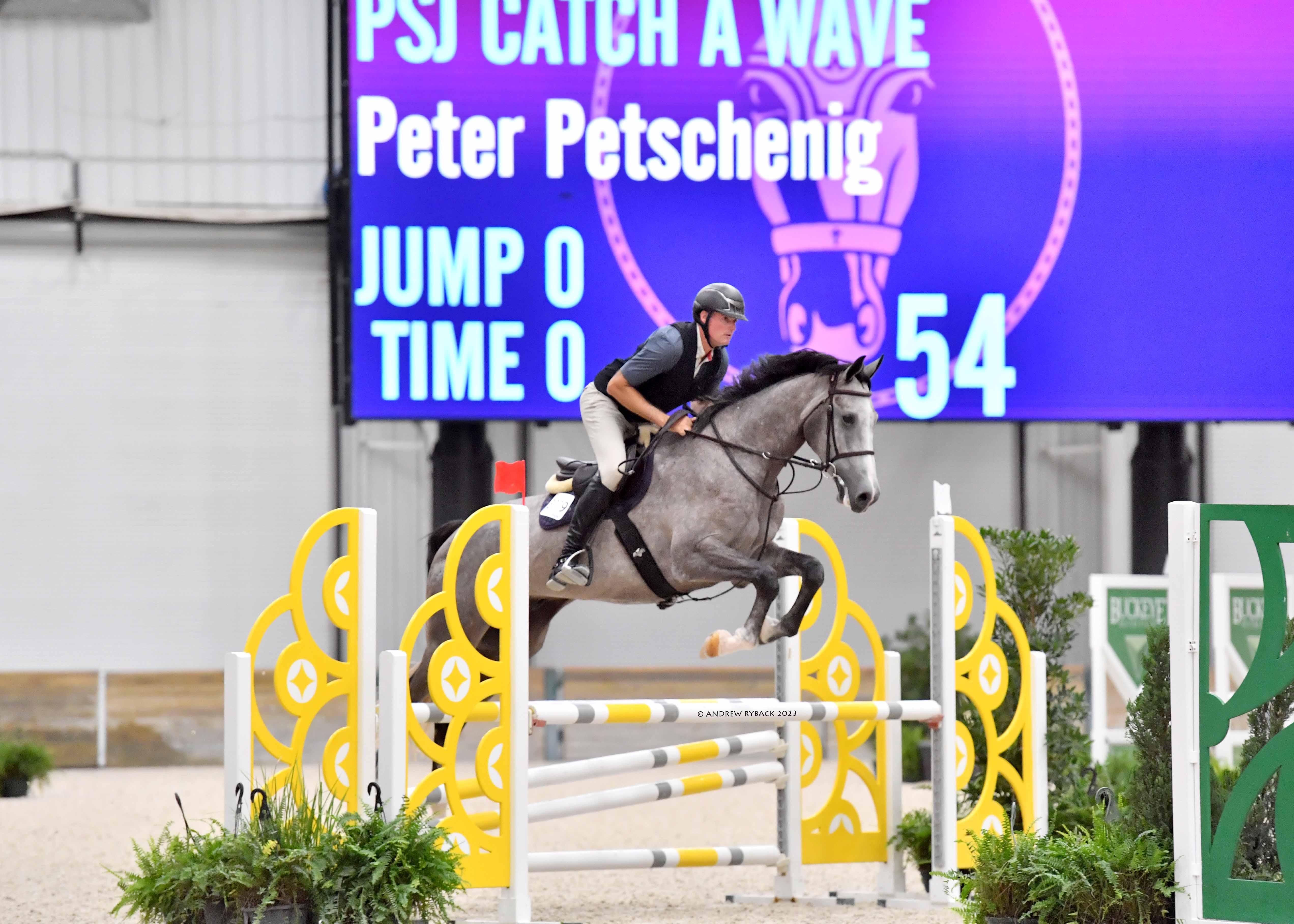 PSJ Catch a Wave Warmblood Jumper