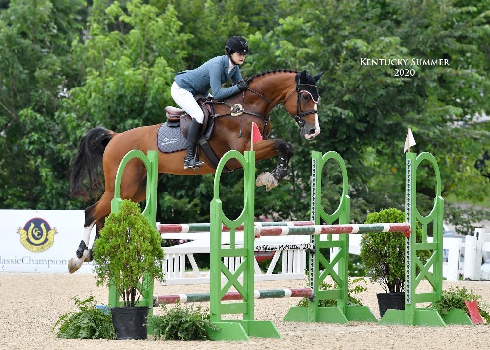 Leviticus "Levi" Holsteiner Jumper