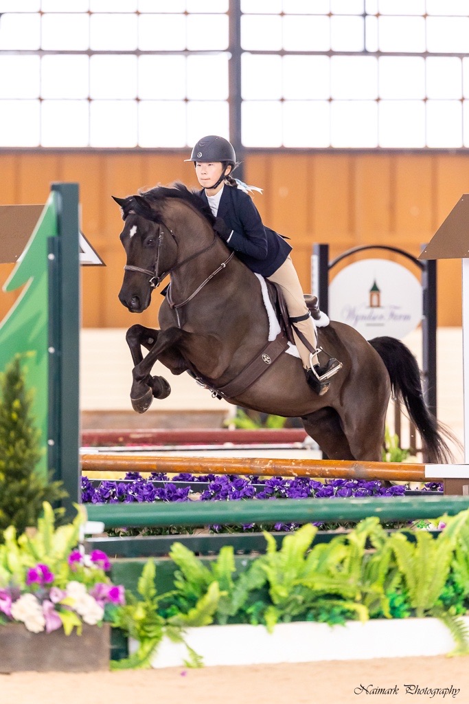 Macho Man Welsh Cross Jumper