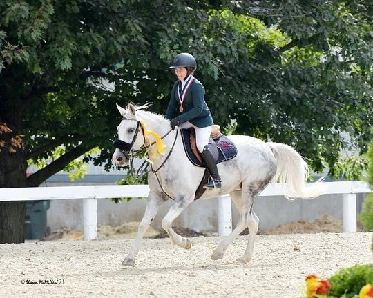 Fluff on Fire Welsh Cross Jumper