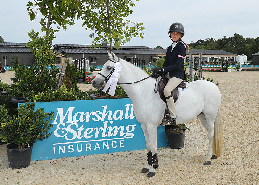 Fancy Nancy Welsh Pony Hunter