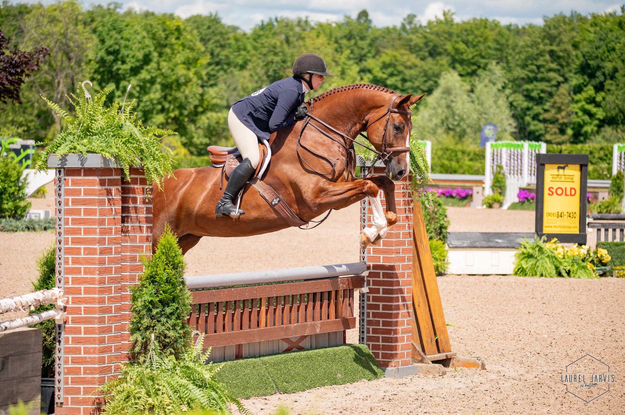 Secret Society Hanoverian Equitation