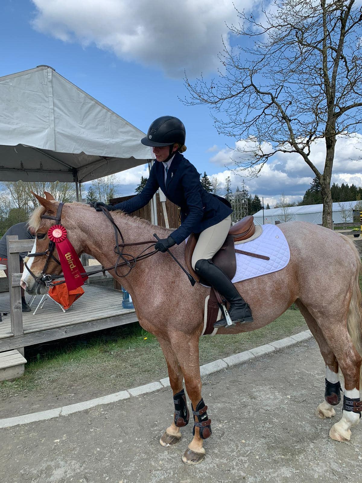 Pink Whitney Welsh Cross Hunter