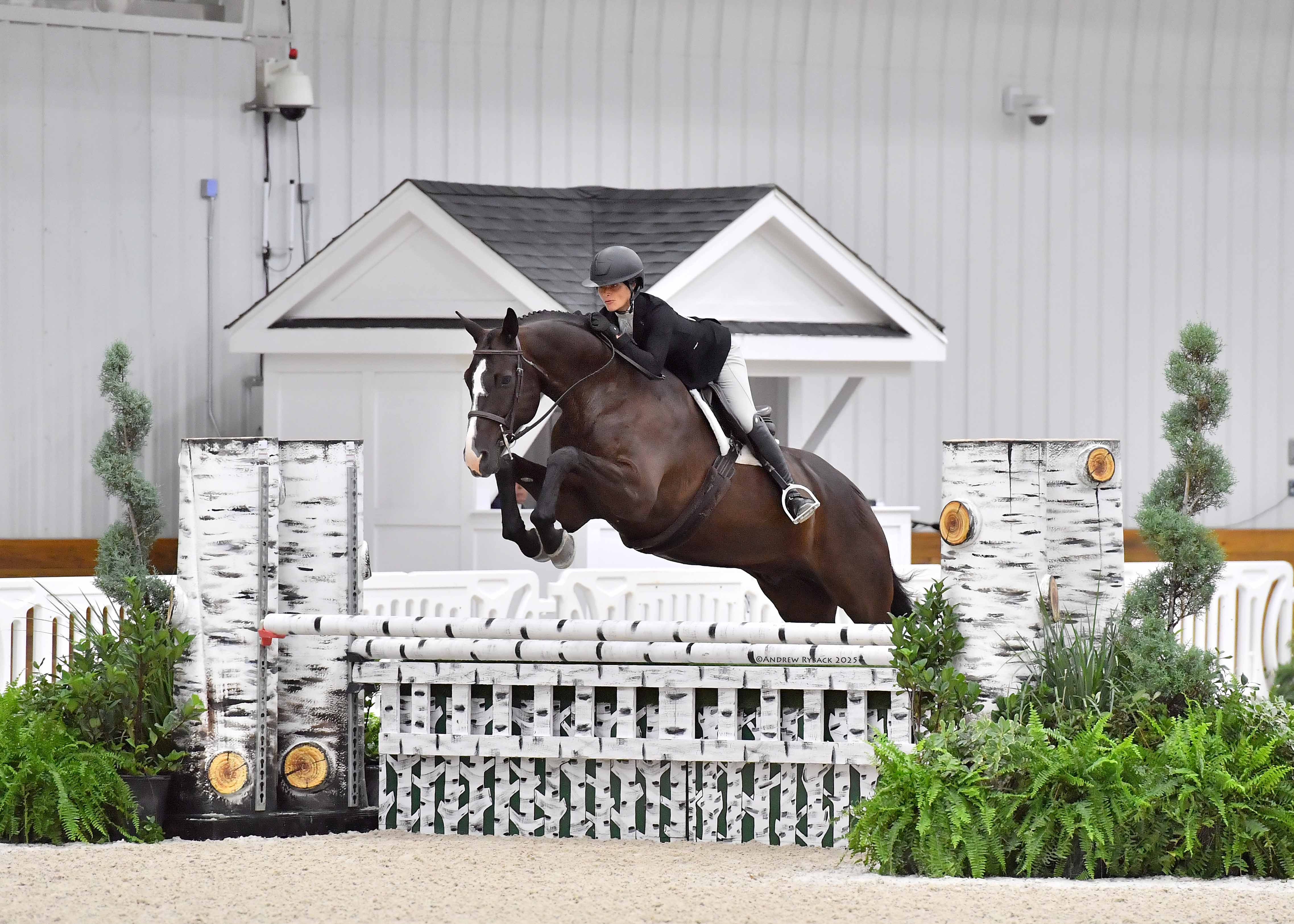 Crowning Point Oldenburg Hunter