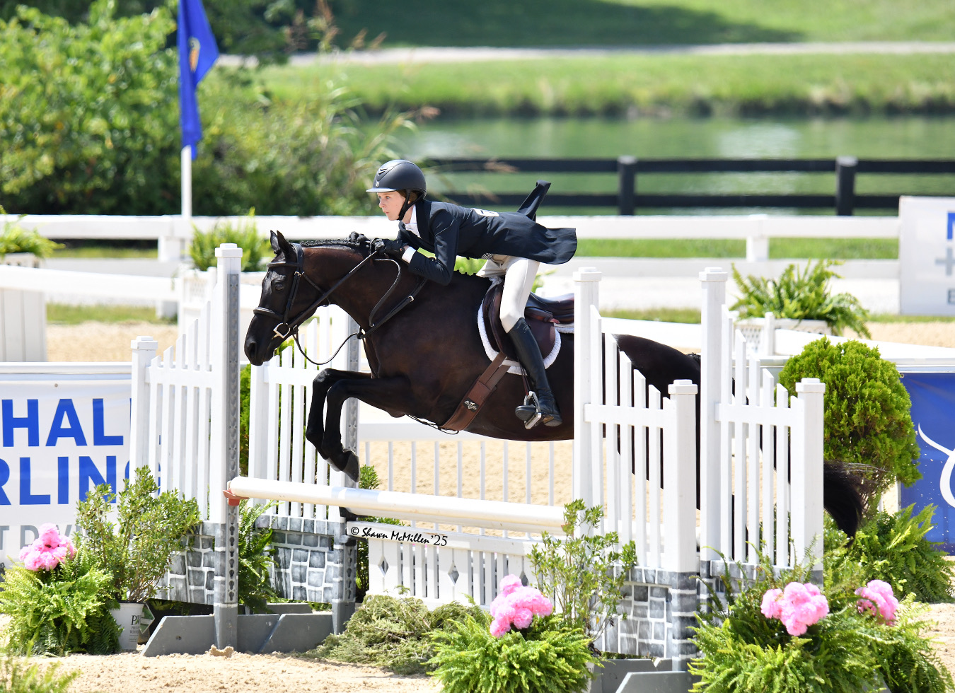 Gabbana Warmblood Hunter