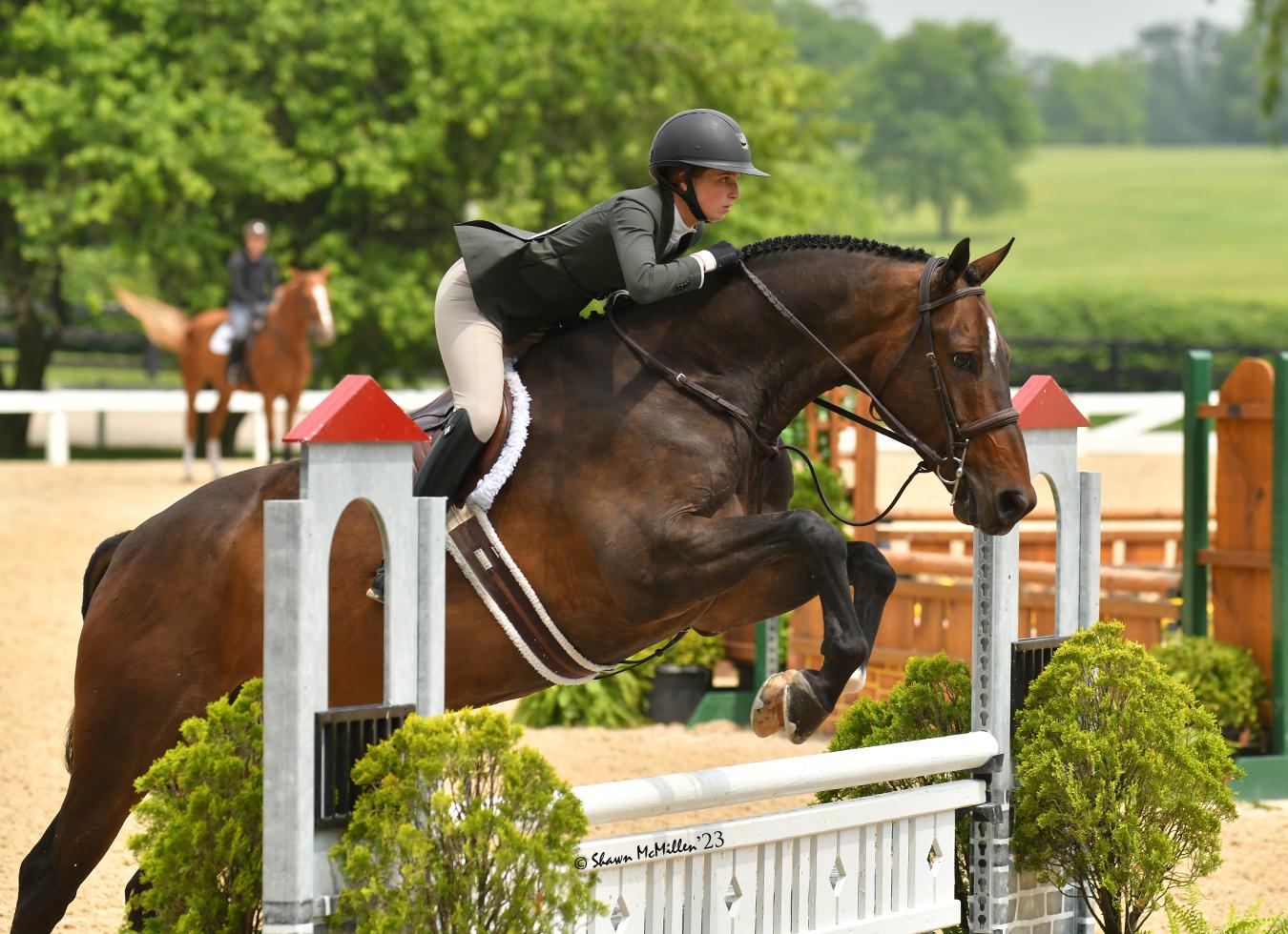 Sir Philip Hanoverian Hunter