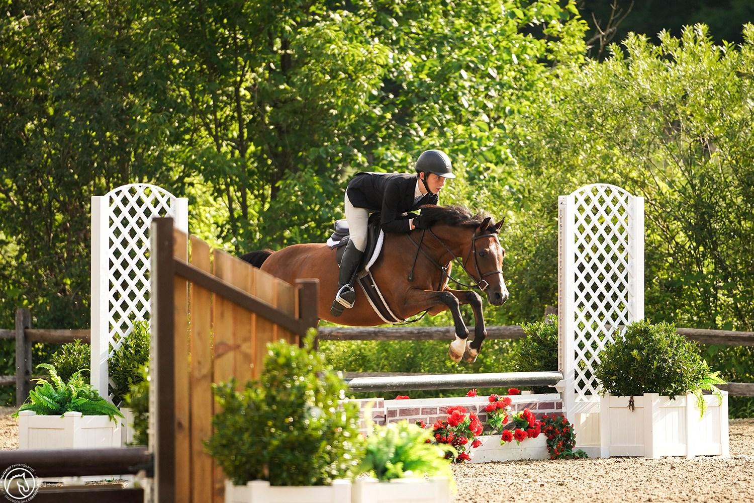 Covenant SomethingRoyal Welsh Cross Hunter