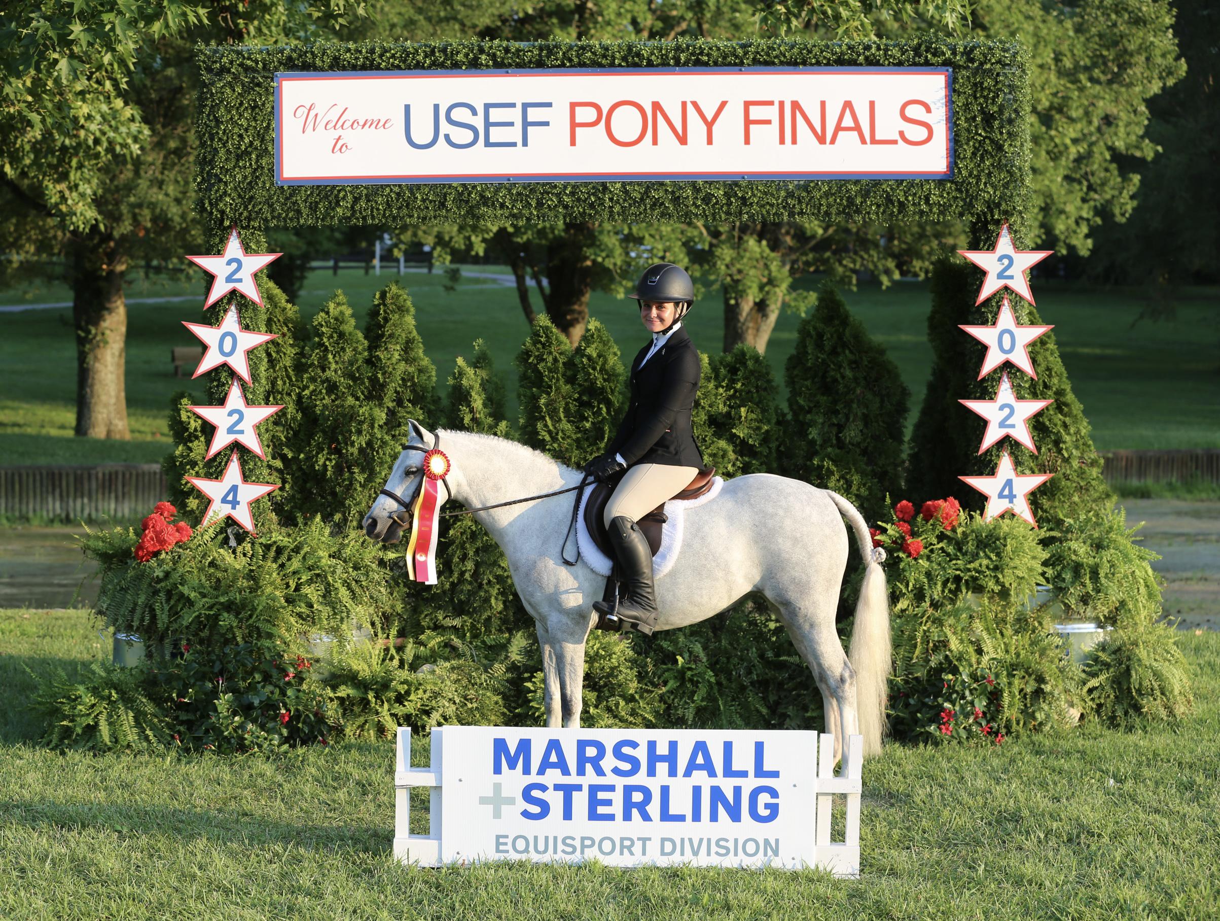 My Lullaby Welsh Pony Hunter