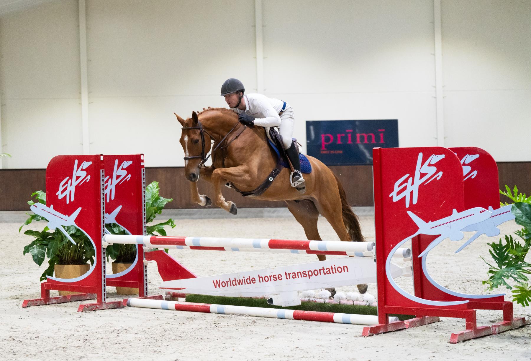 Taste of Darry Lou Zangersheide Hunter