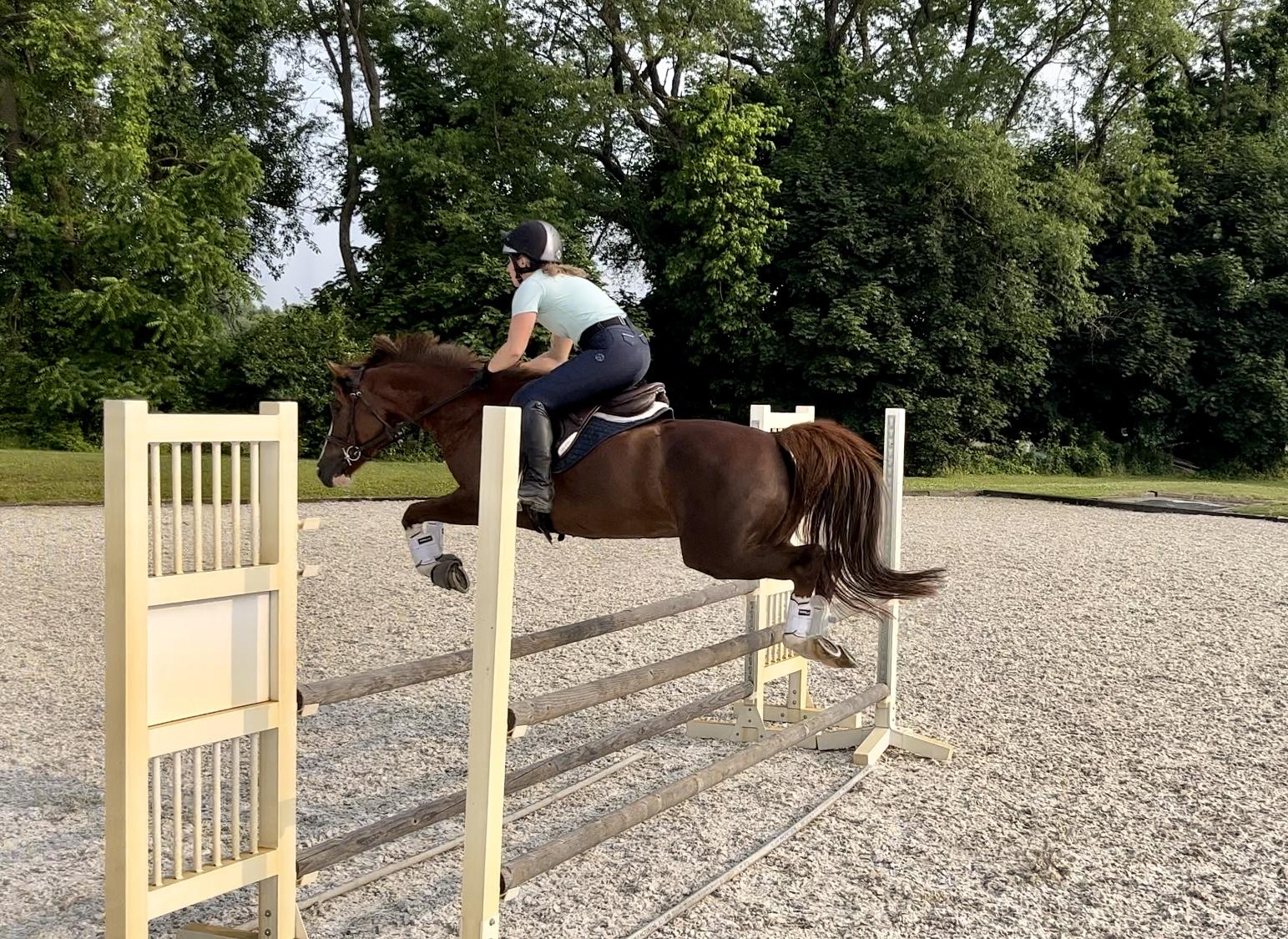 Crimson Queen a.k.a. "Allie" Welsh Cross Jumper