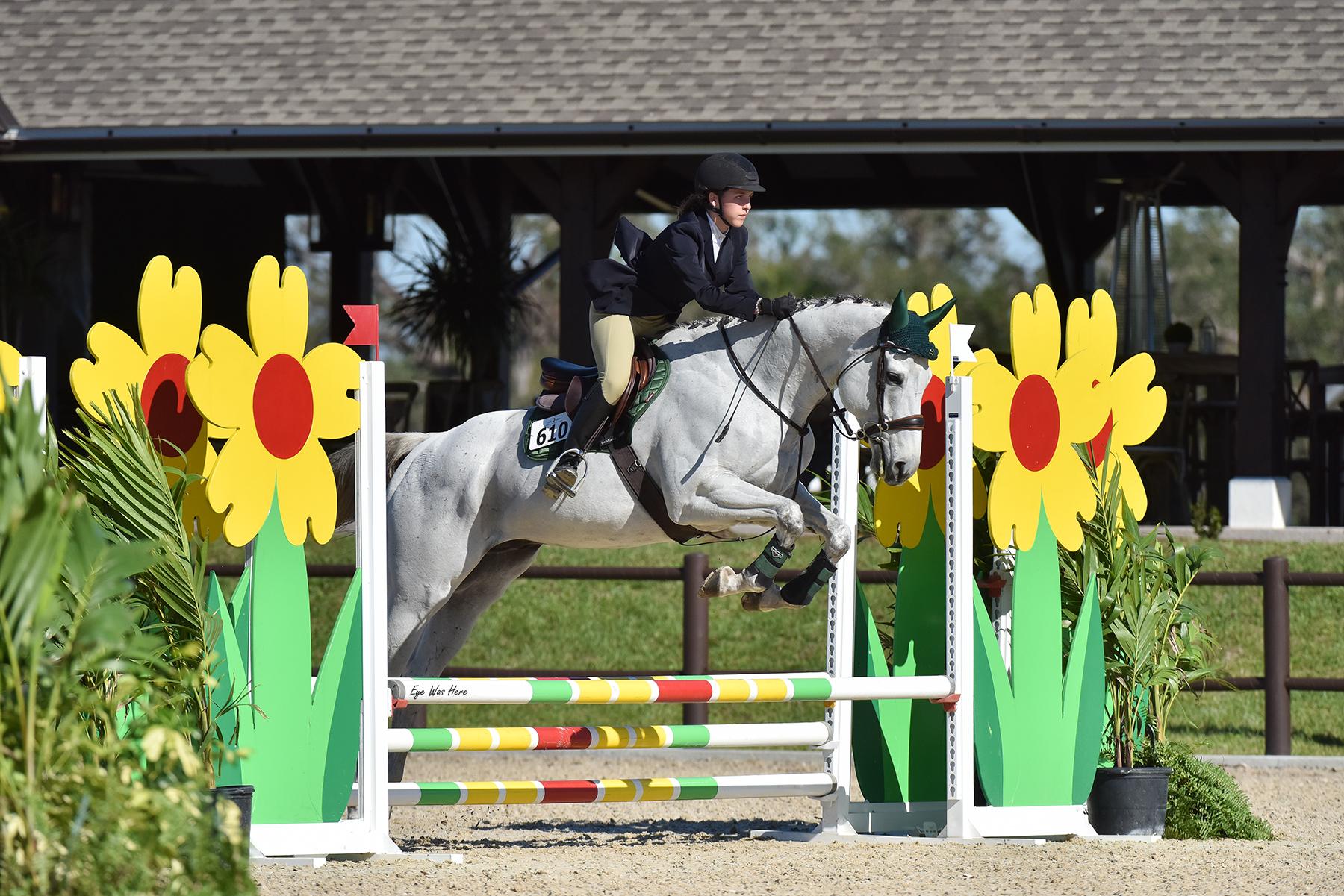 Dapper Gray TB Jumper