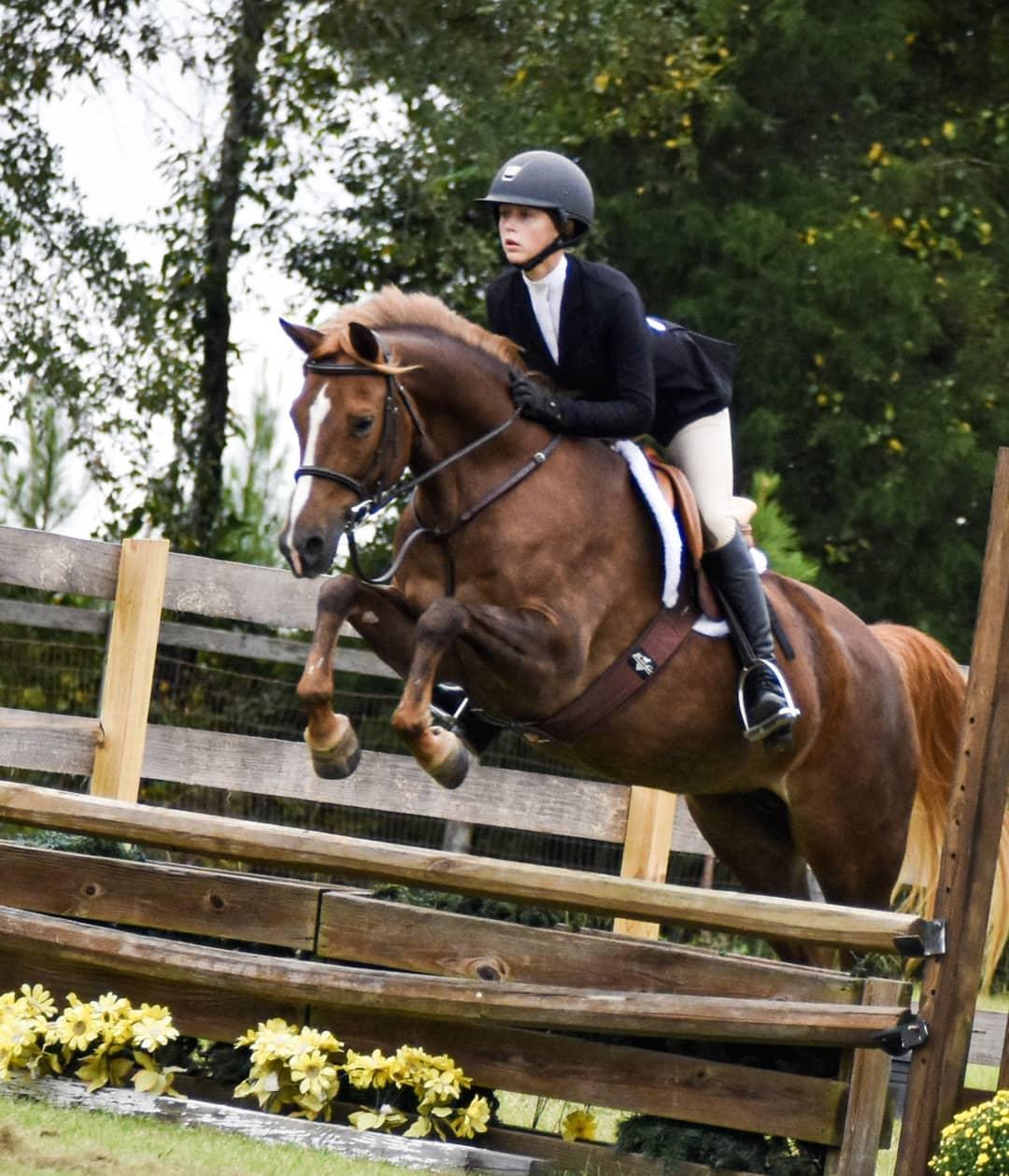 Glamorous Welsh Cross Hunter