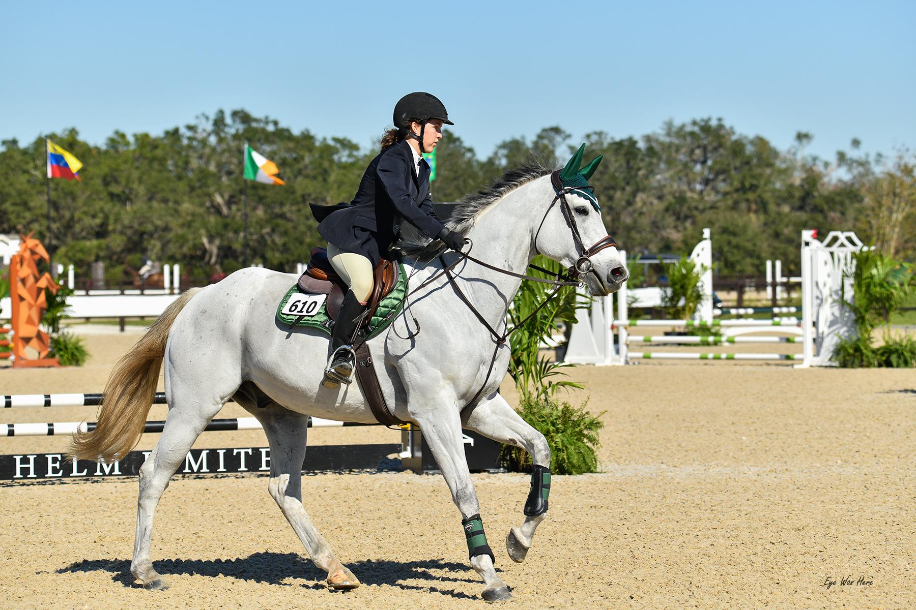 Dapper Gray TB Jumper