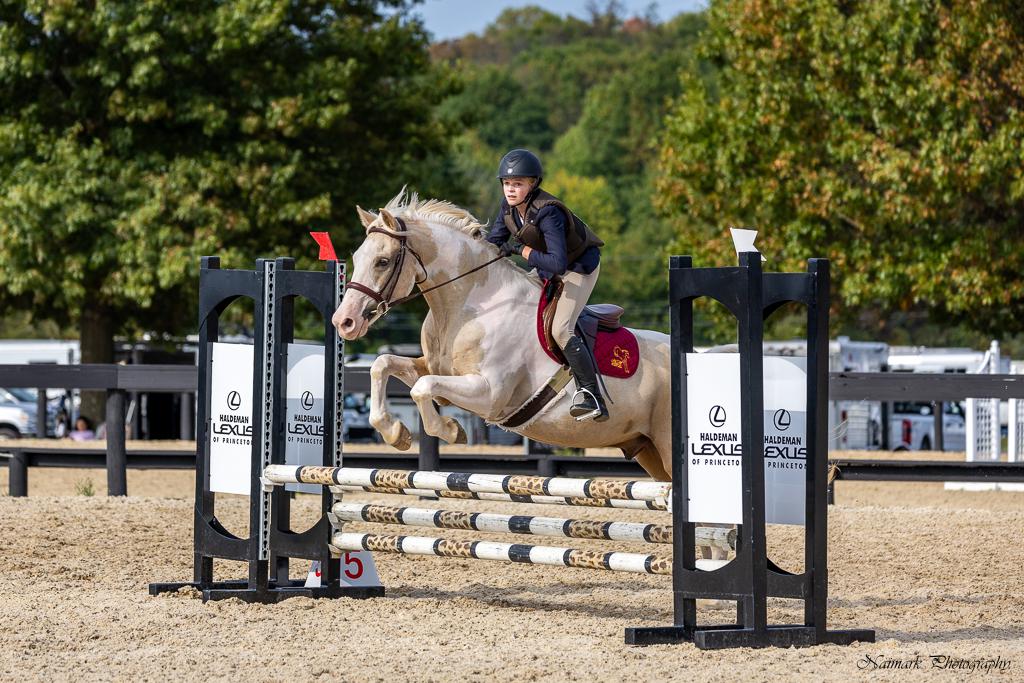 Scotch on the Rocks Paint Jumper