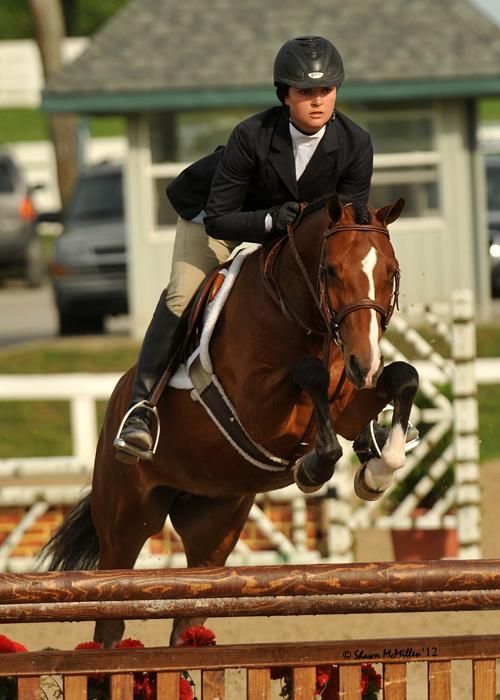 Dragon Power Westphalian Hunter