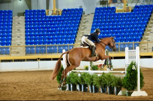 BMQ Legacy of Roses Appendix Equitation