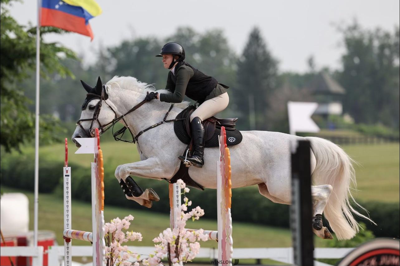 Jenni’s Chance Belgian Warmblood Jumper
