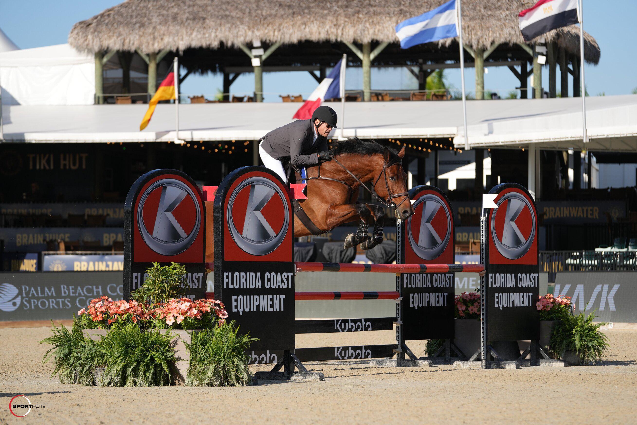 Fidelio Wsh Warmblood Jumper