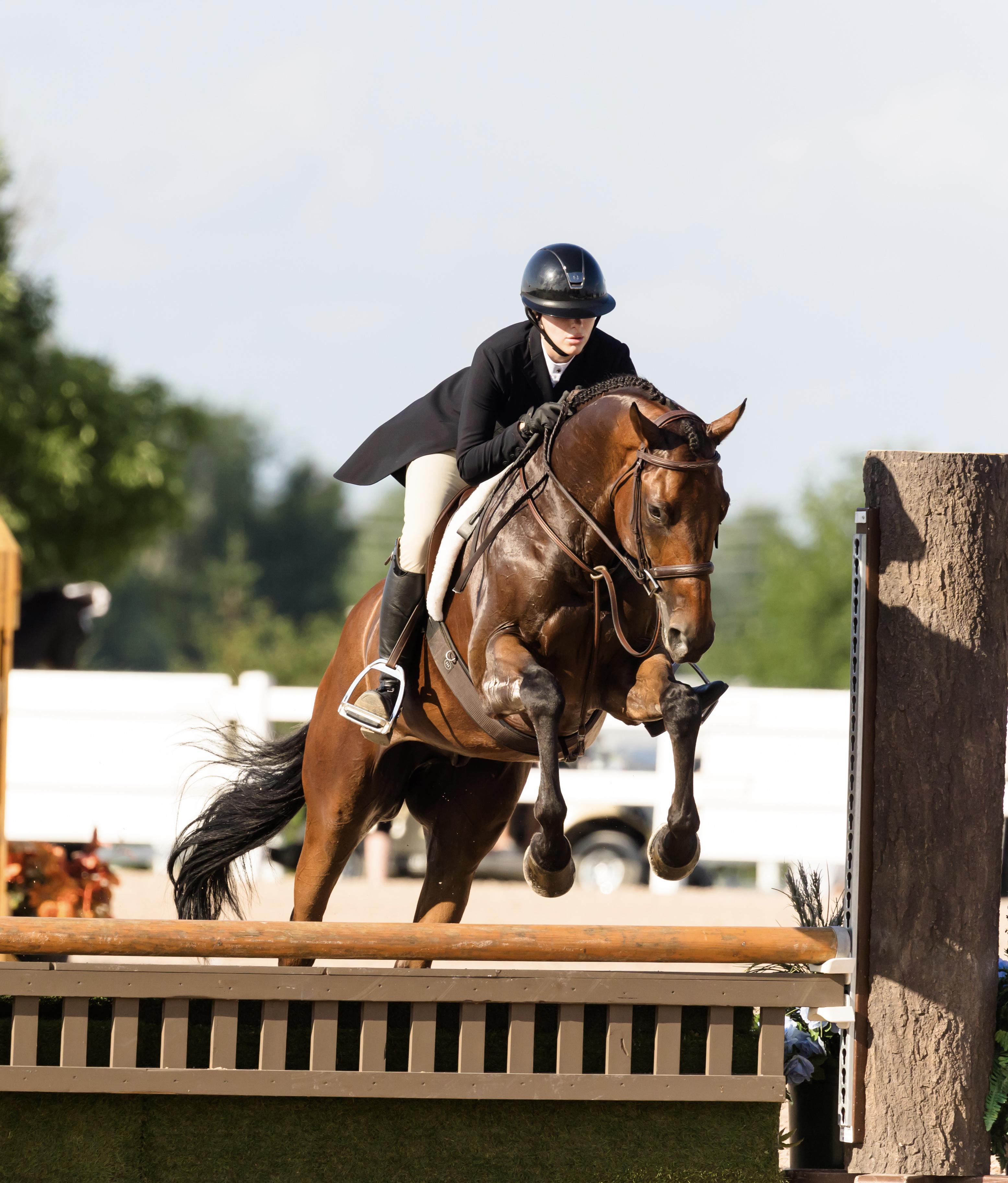 Untouchable TB Hunter