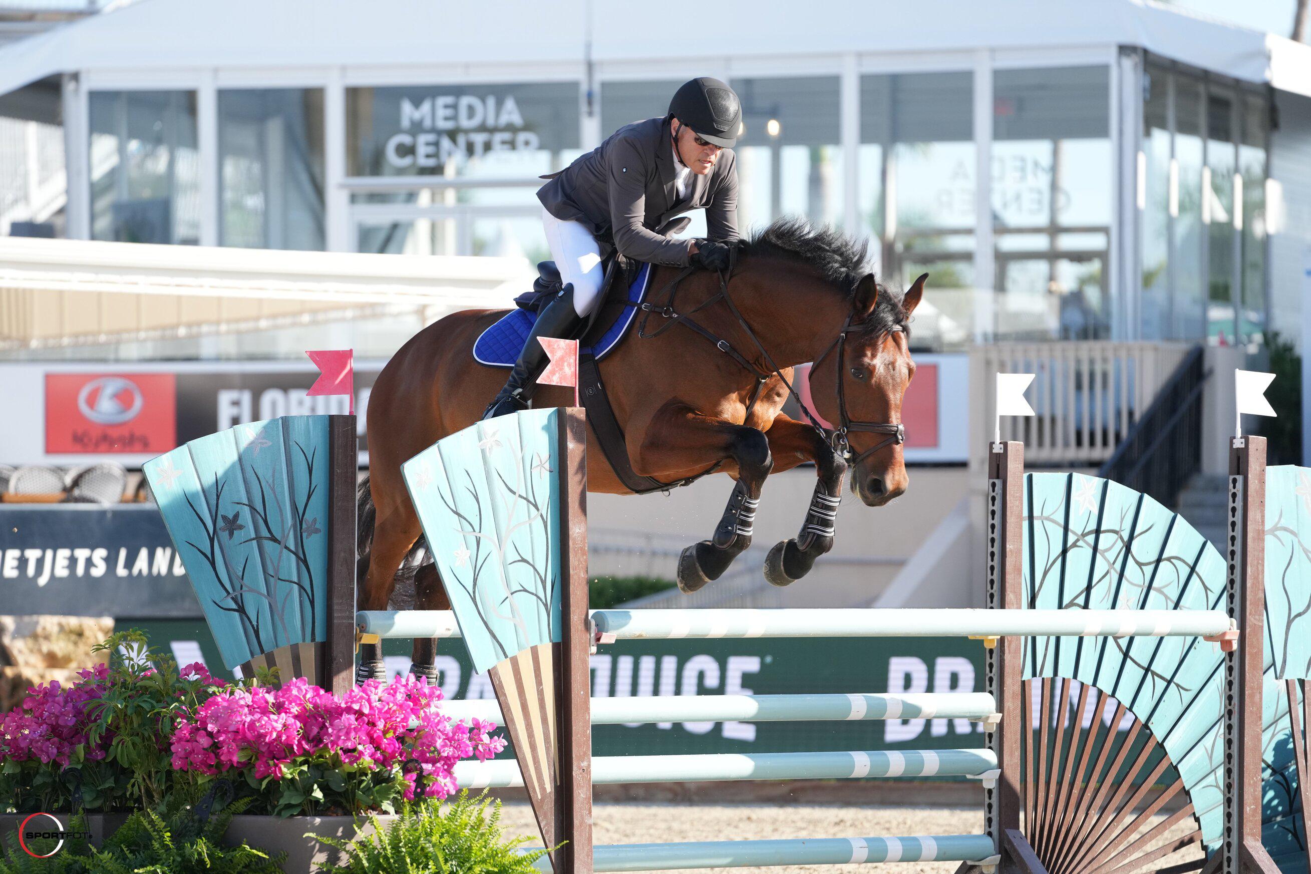 Fidelio Wsh Warmblood Jumper