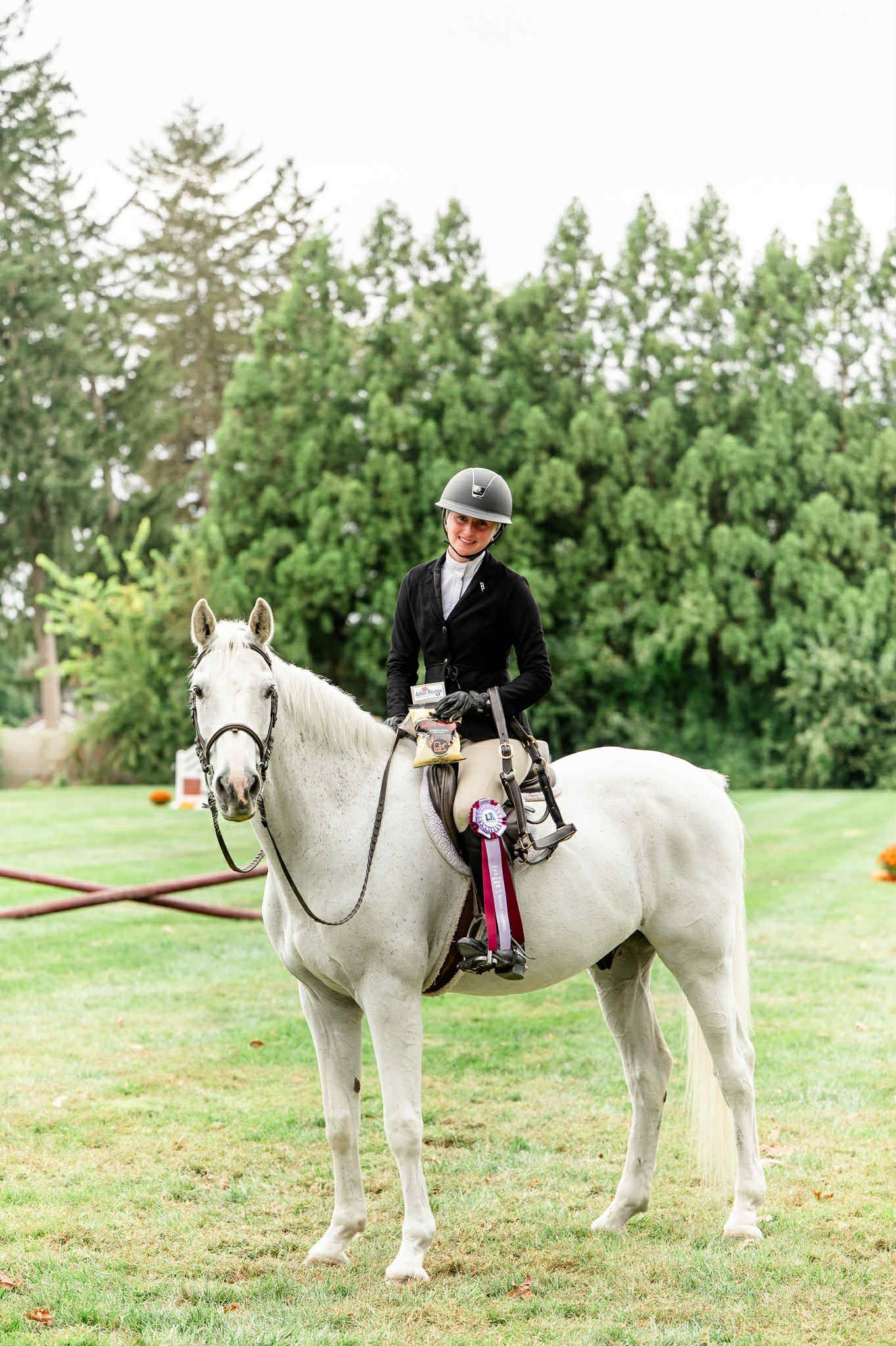 Cayenne Z Danish Warmblood Hunter