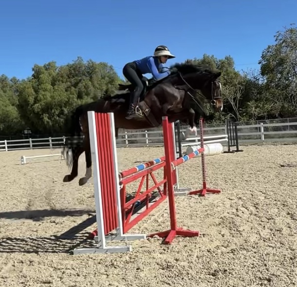 Felix Oldenburg Hunter