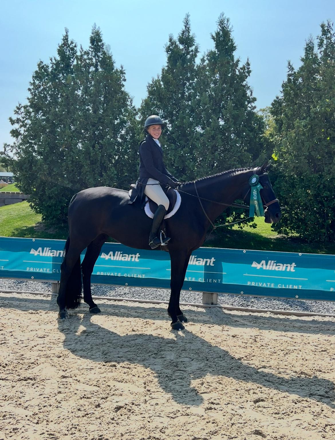 Diamara German Warmblood Hunter