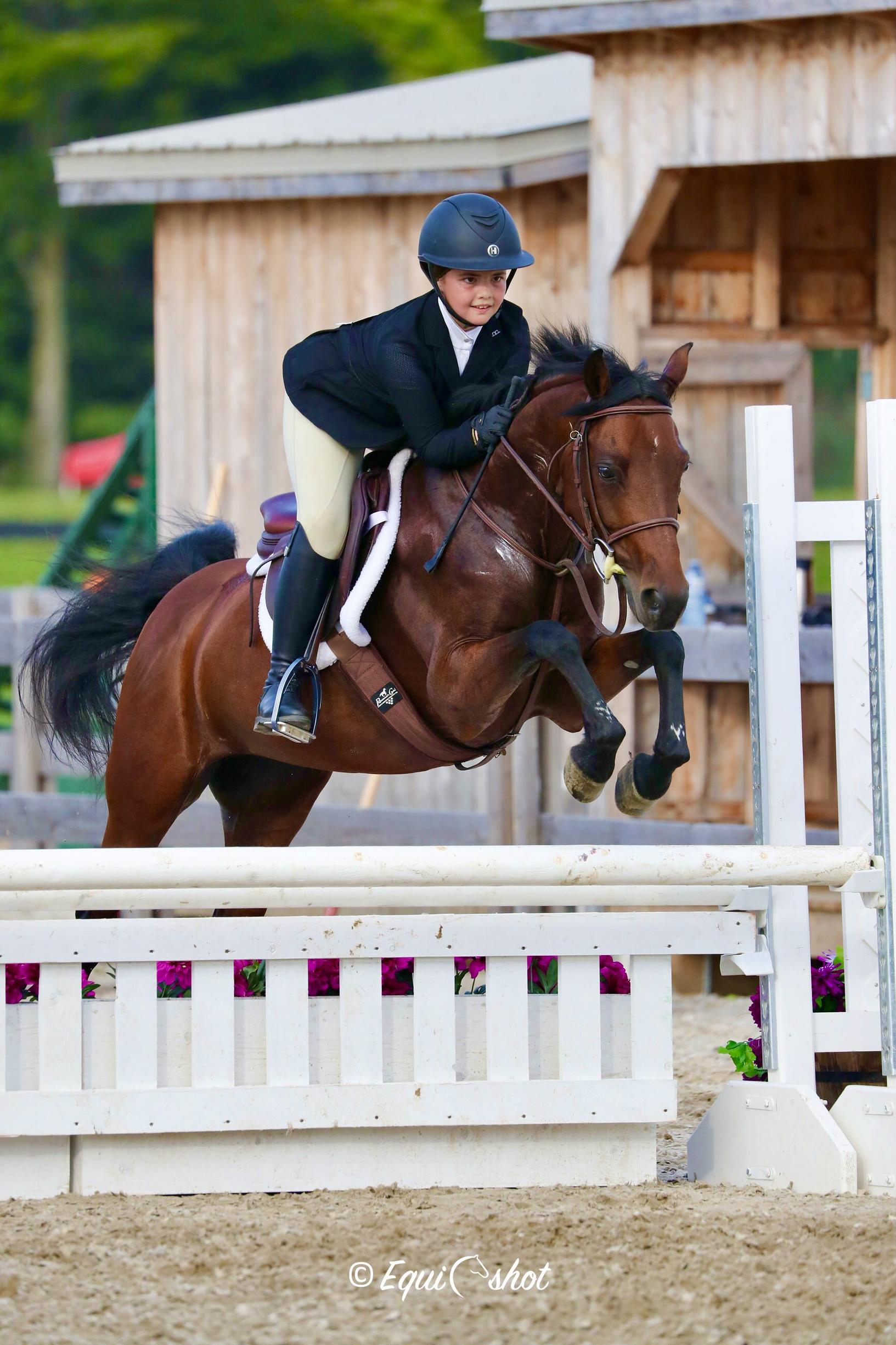 Bo’s Gypsy Girl Welsh Cross Hunter