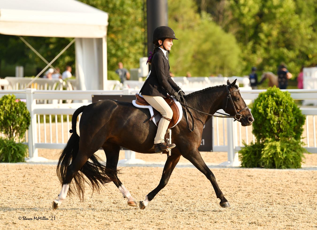 Black Raspberry Welsh Cross