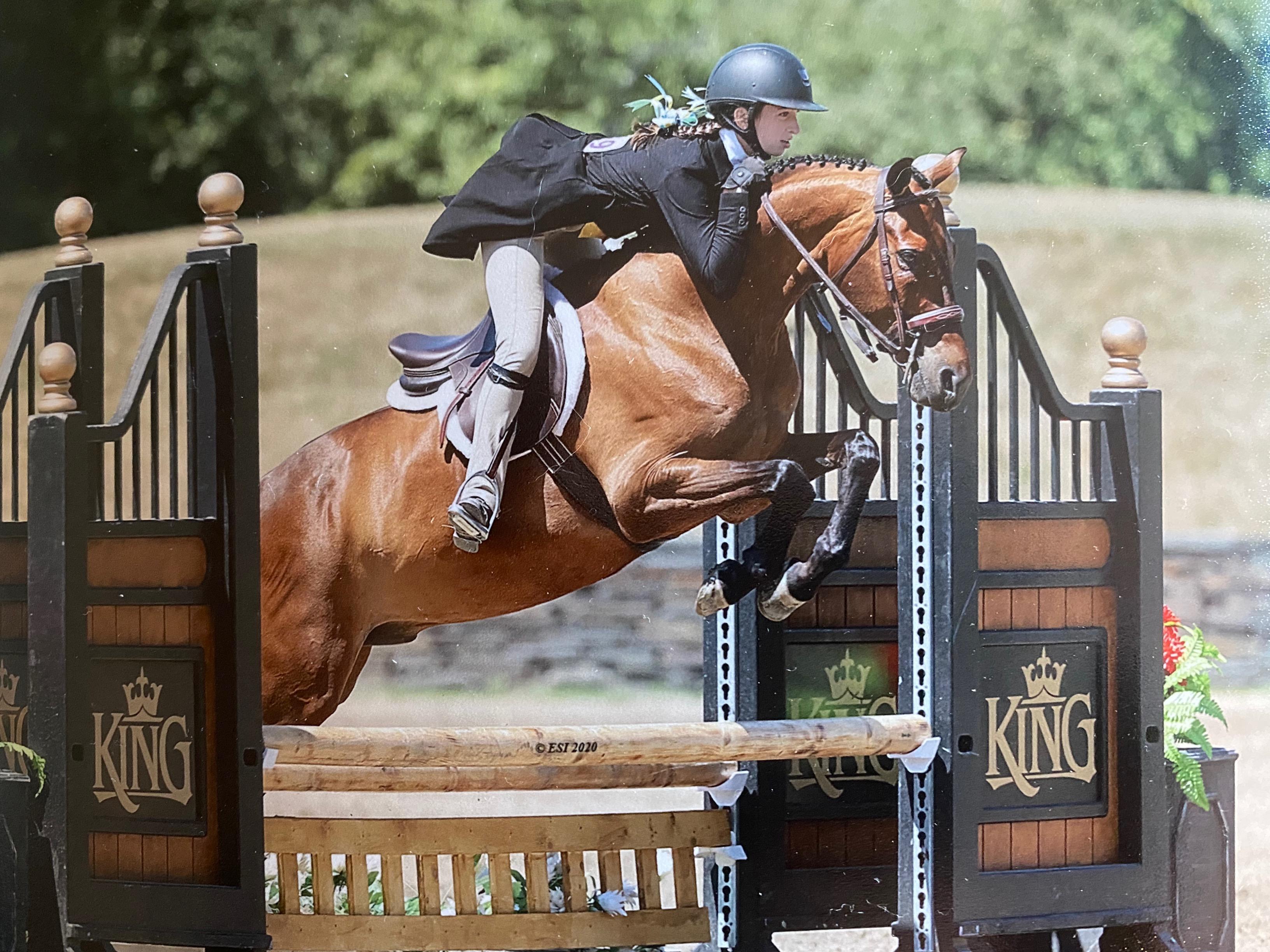 Infinity’s First Impression Welsh Cross Hunter