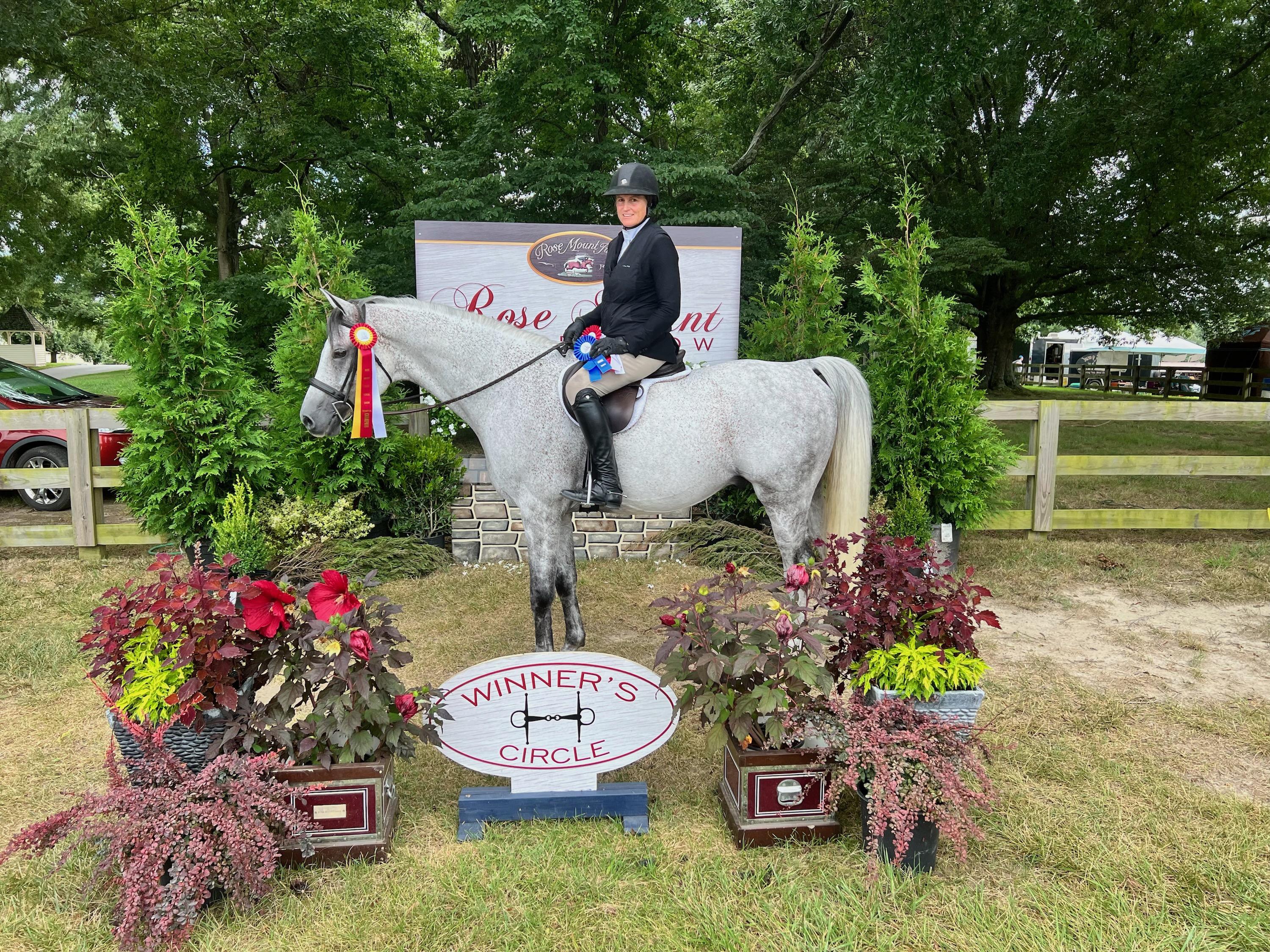 Slate Holsteiner Hunter