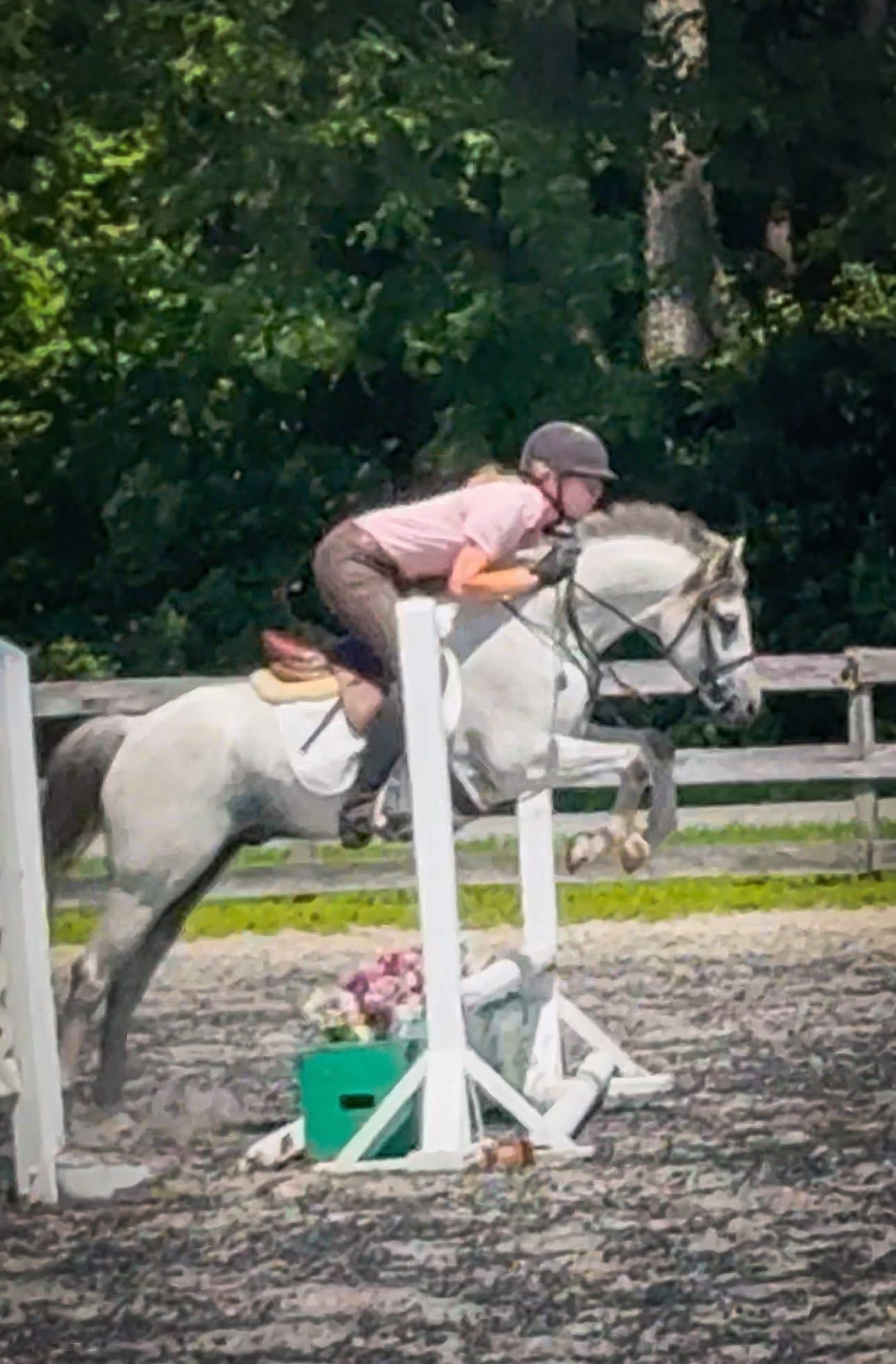 Bank Top Peter Pan Welsh Pony