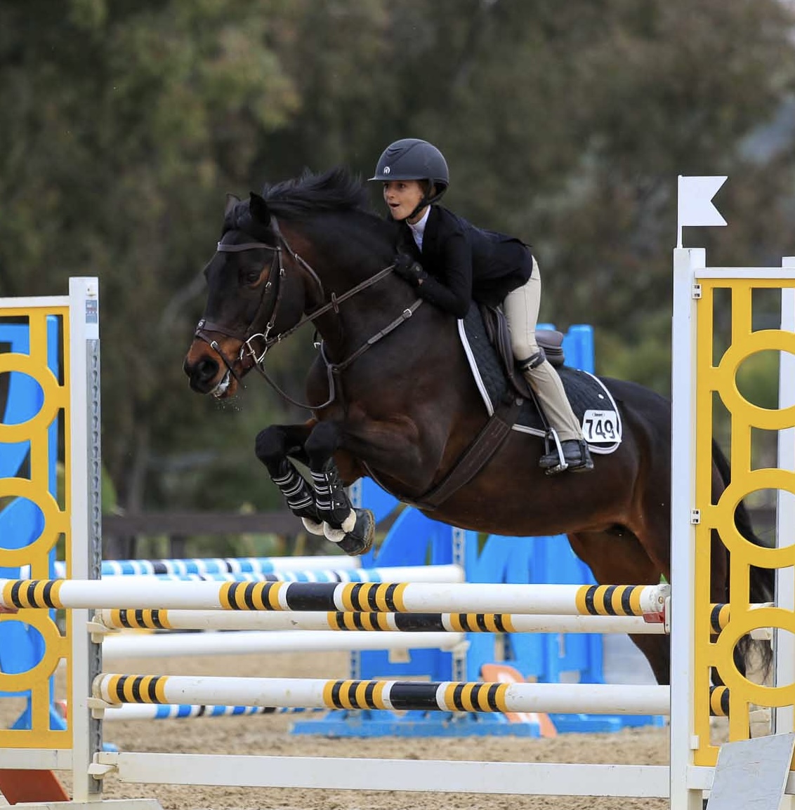 Meadowbrooks Biscotti Welsh Cross