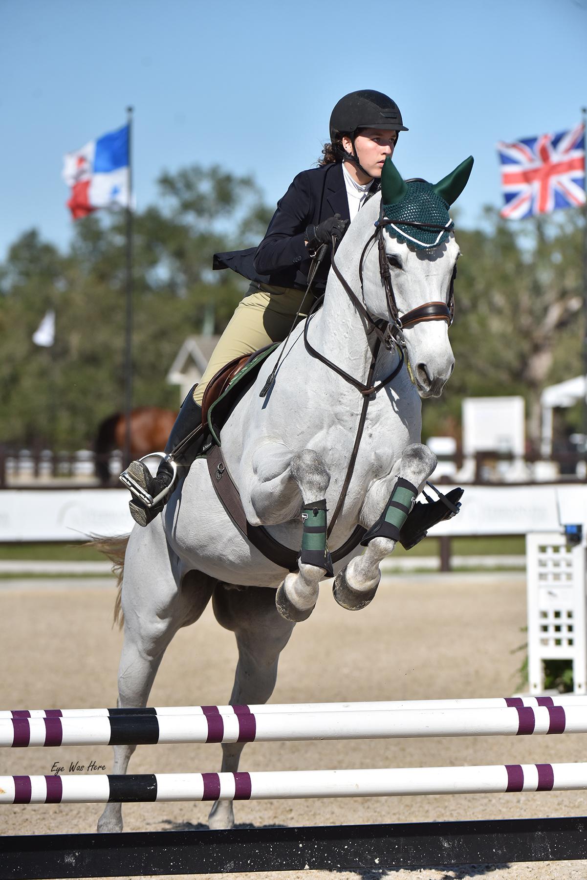 Dapper Gray TB Jumper