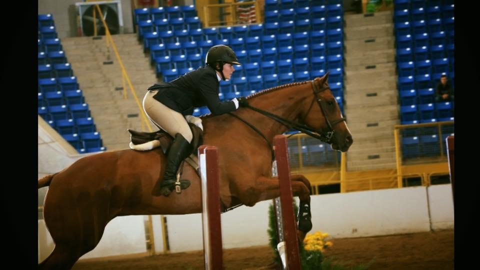 BMQ Legacy of Roses Appendix Equitation