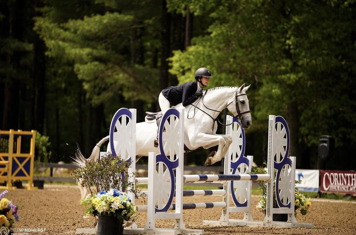 Empreza Hanoverian Hunter