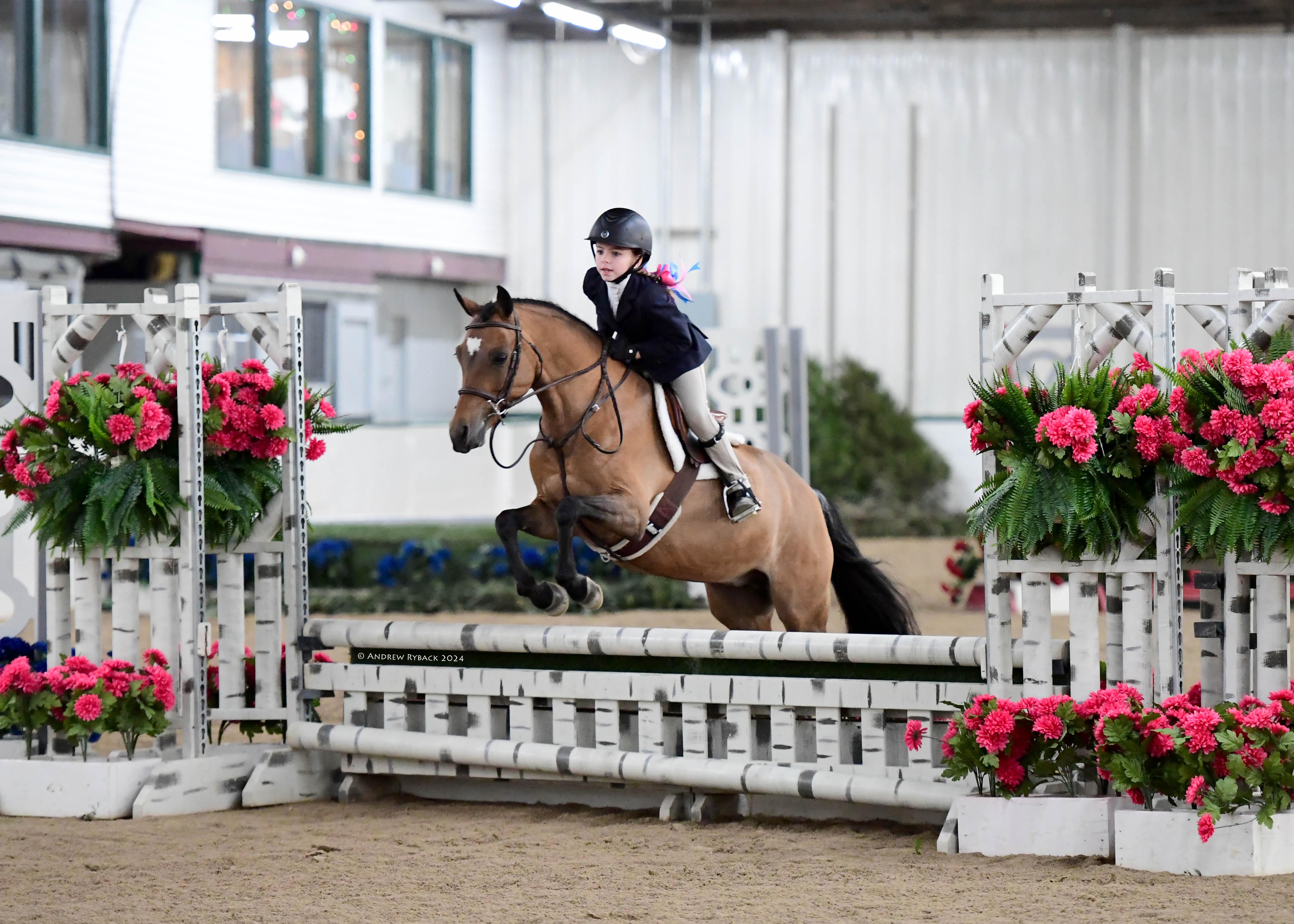 Foxmor Pinky Promise Welsh Cross
