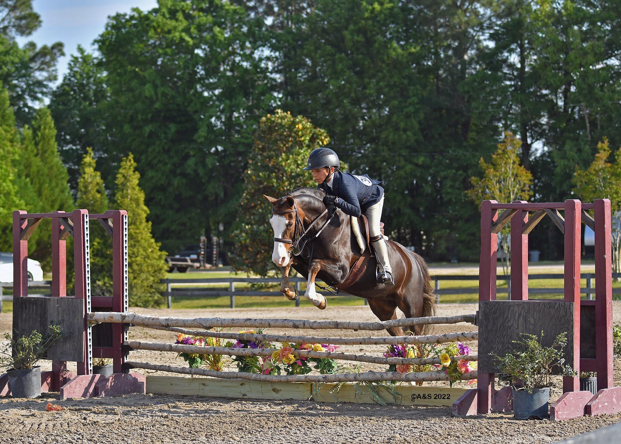 Never Enough Sweet Dreams Welsh Cross Hunter