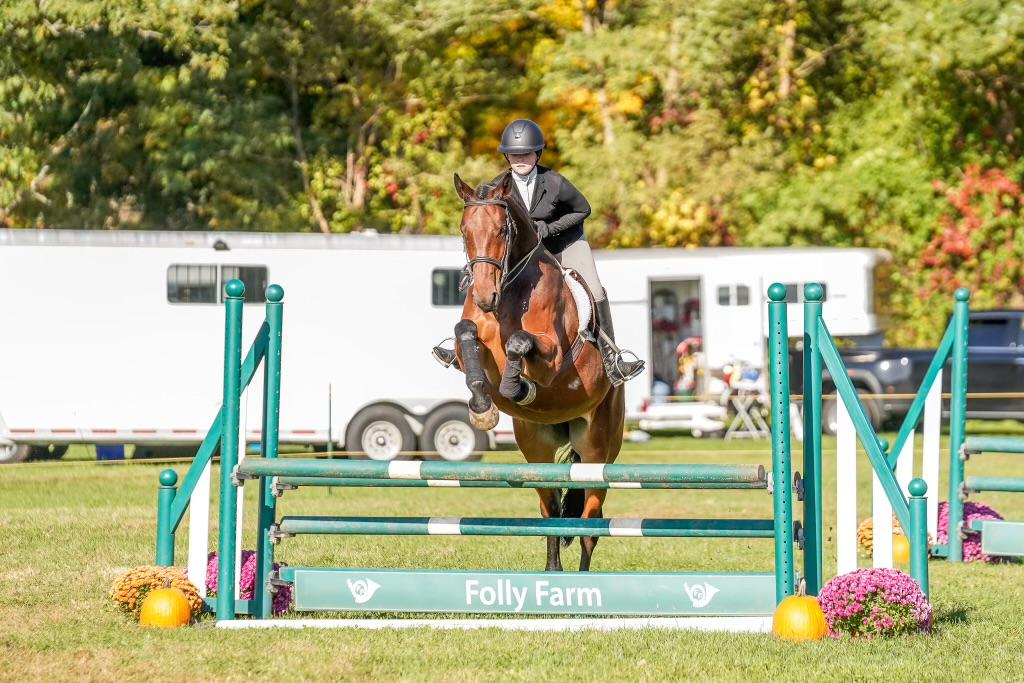 Nesbitt German Warmblood Equitation