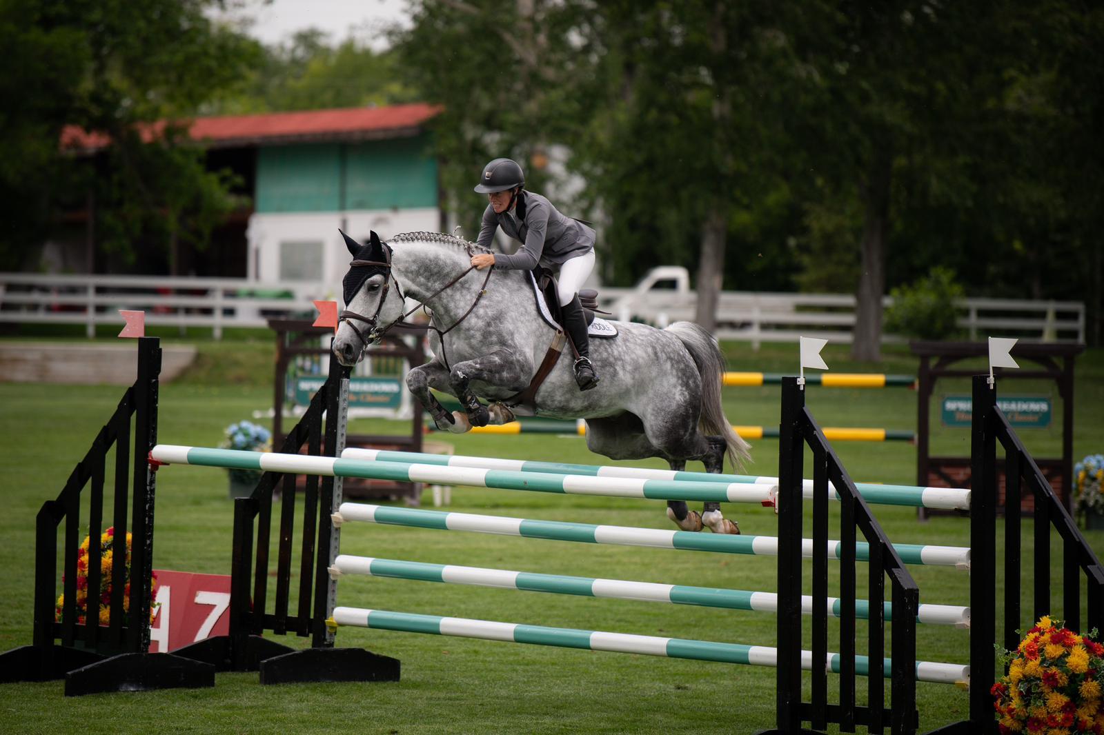 Cato Minor J Westphalian Jumper