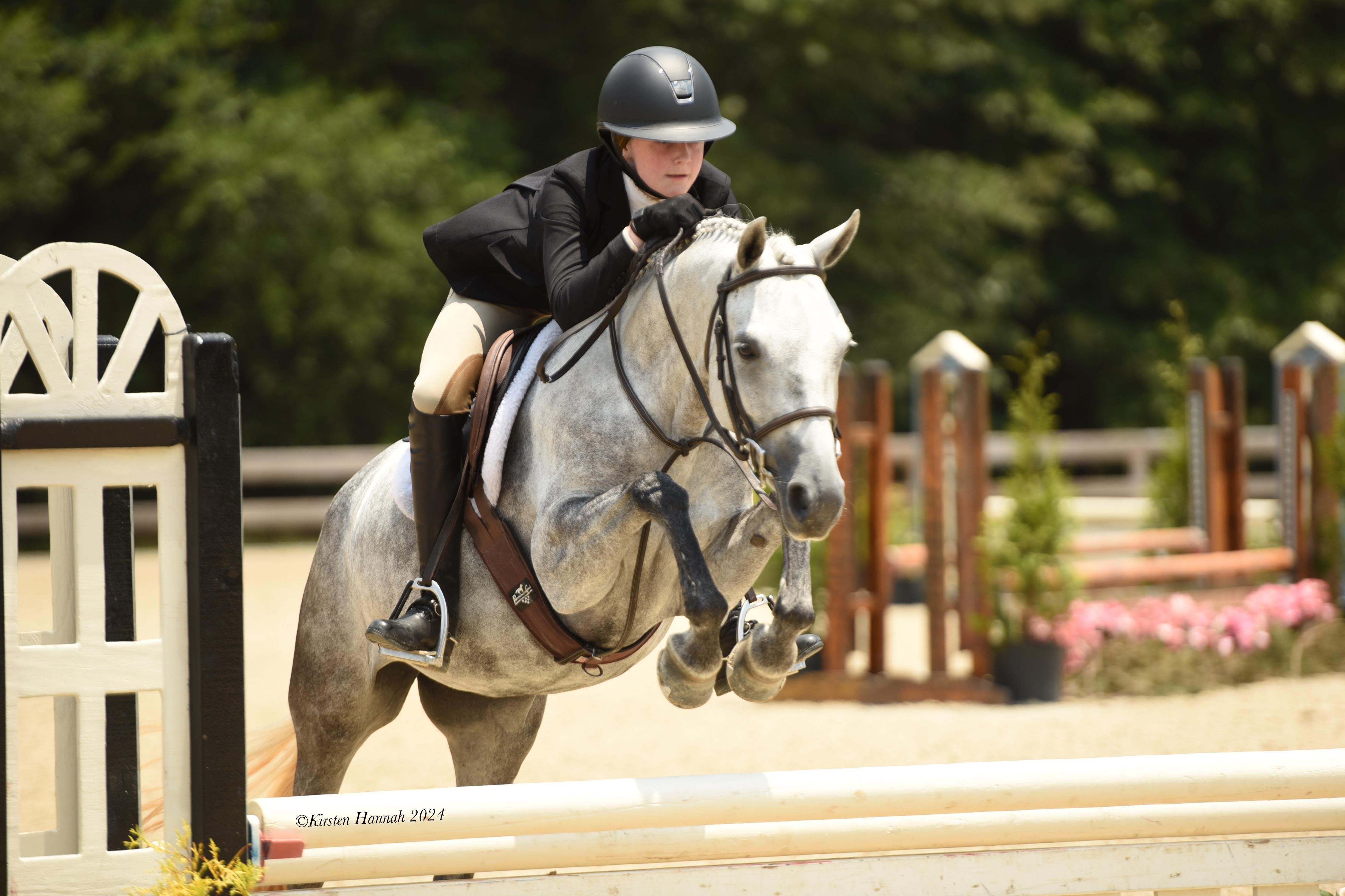 Cherrybrook Bella Vita Welsh Cross