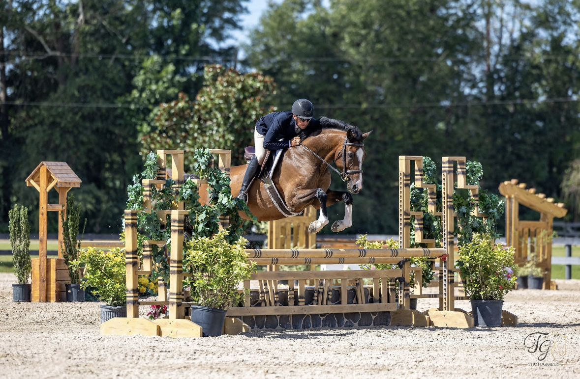 Lee Evans DLB Dutch Warmblood