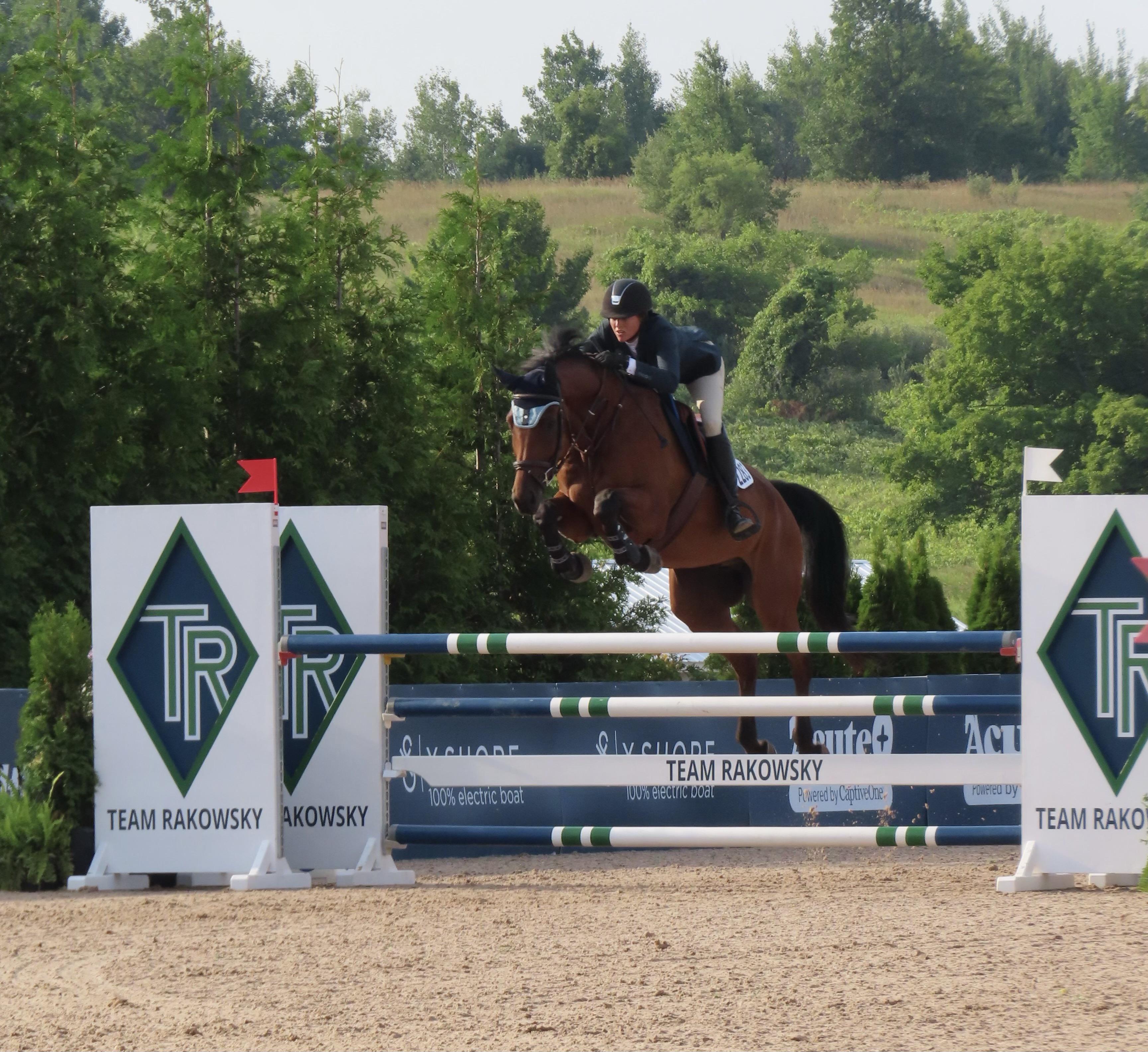 A La Bonheure Warmblood Jumper