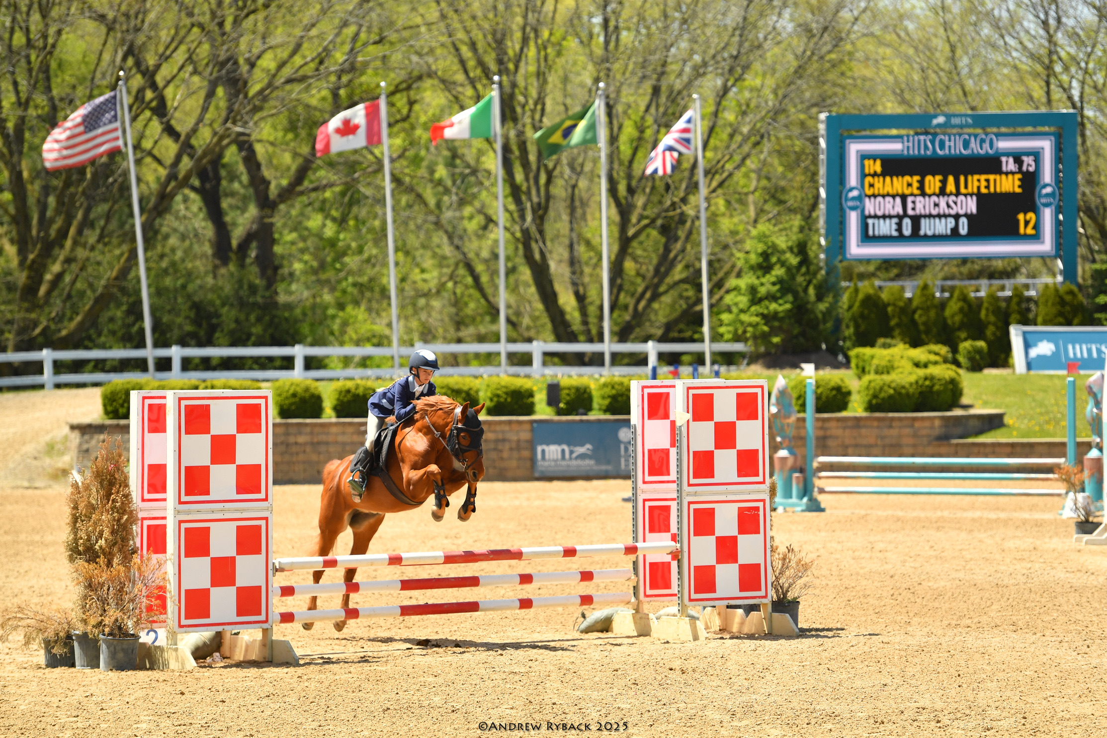 Chance of a Lifetime Welsh Cross Jumper